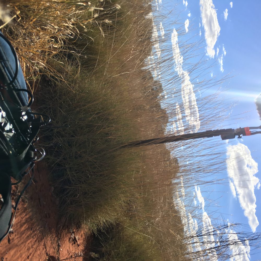 Gordon Fletcher - Film audio, Sound editor | Soundlister.com